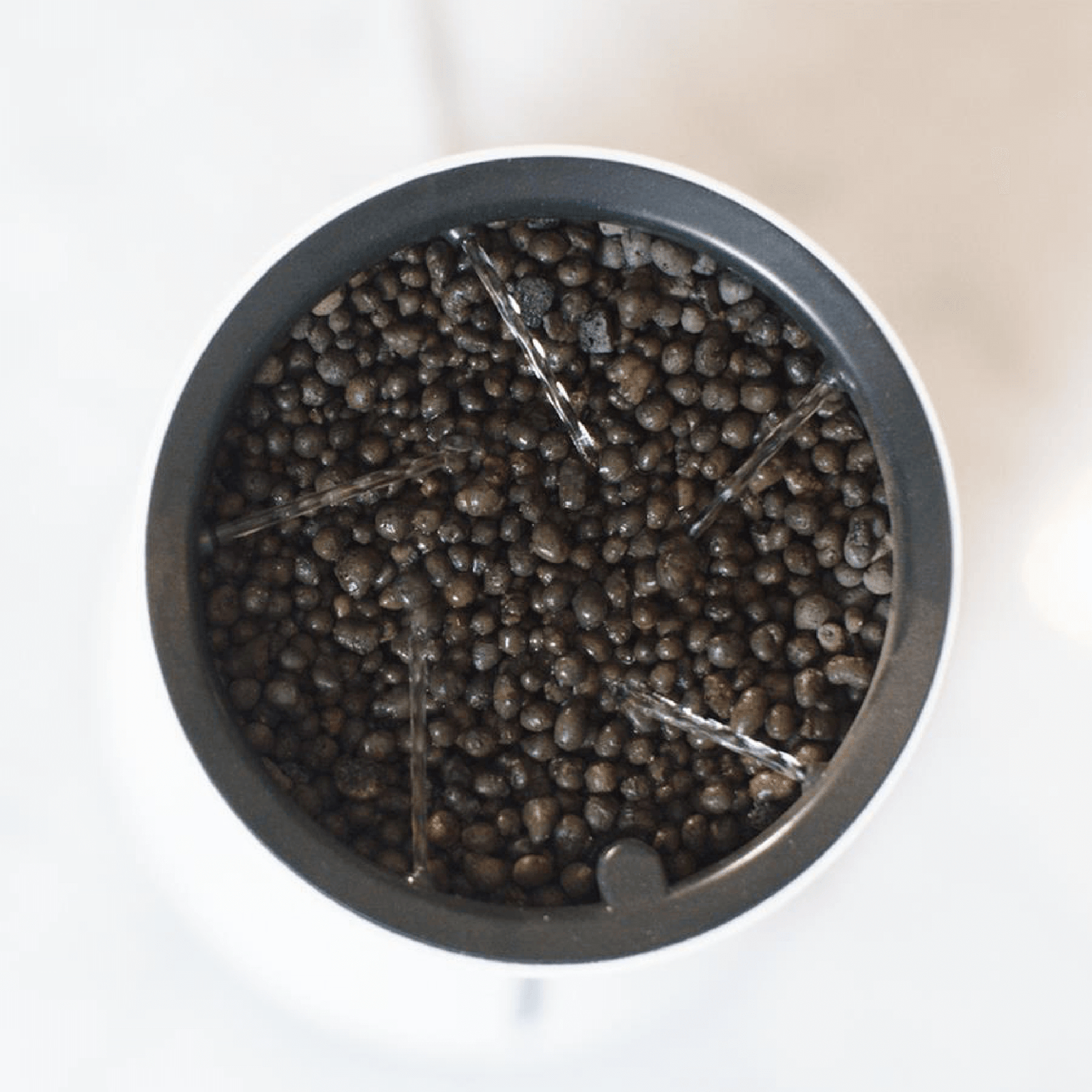 Botanium: The Self Watering Planter - Plant, Forget, Harvest | Nvio