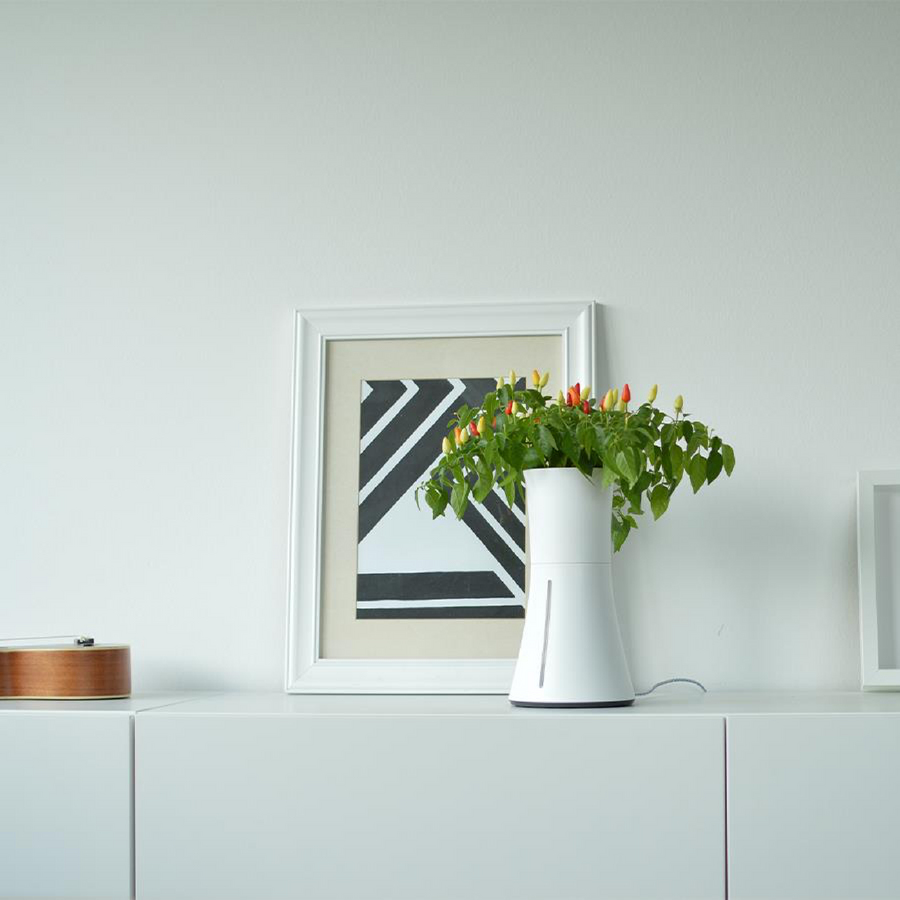 Botanium: The Self Watering Planter - Plant, Forget, Harvest | Nvio